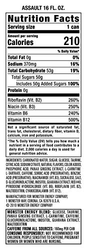 Monster Energy Assault, Energy Drink, 16 Fl Oz (Pack of 24) – JerkyPro